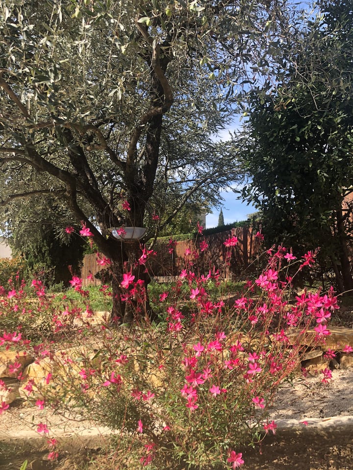 Clos Du Cyprès, Si Près De Tout - Nyons