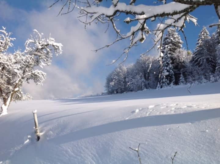 Le Chalet Du Loup - Champ du Feu