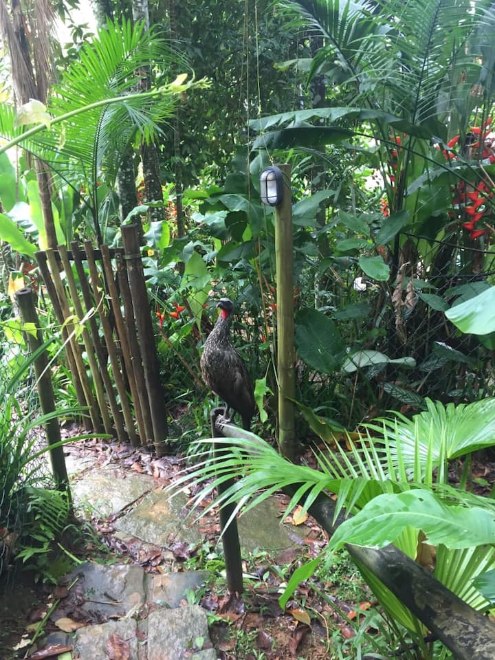 Casa Contêiner Rodeada Pela Mata Ao Som Do Mar - Ubatuba
