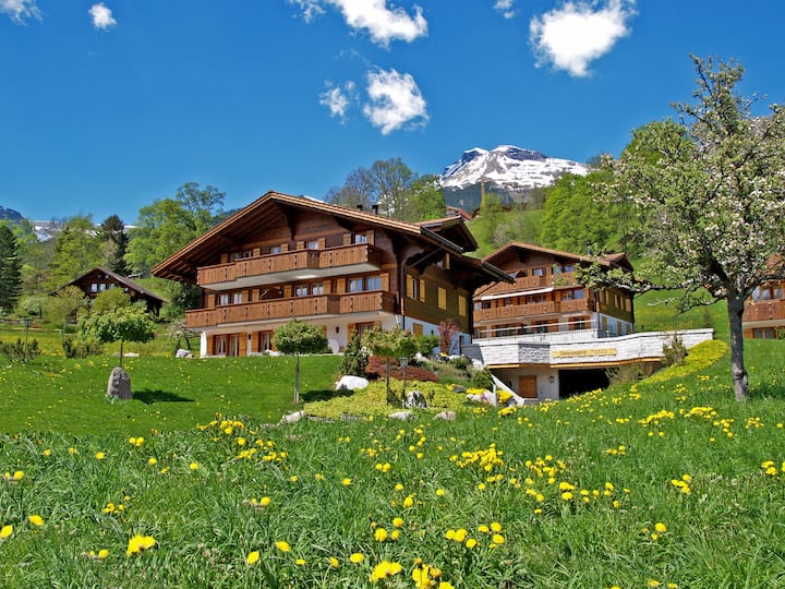 Familienfreundliche Wohnung Mit Panoramablick - Grindelwald