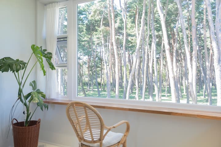 포레스테이 <스텐다드룸 1> - Gangneung-si