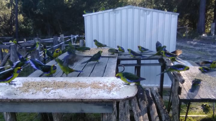 Top 10 Ranches To Stay In Australia - Updated 2024 | Trip101