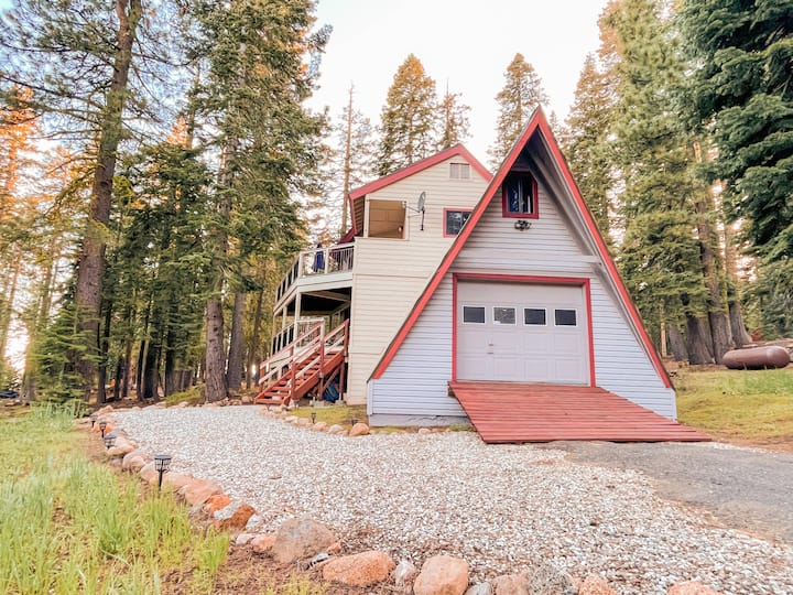 Sky High Cabin: Your Wilderness Getaway! - Bear Valley, CA