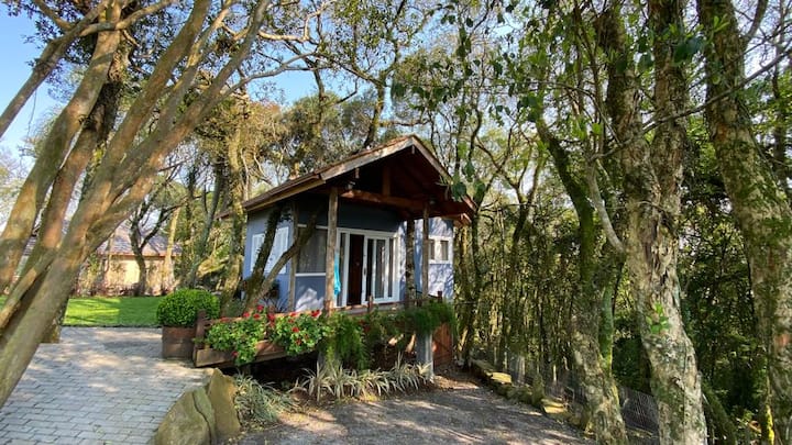 Charmosa Casa Em Meio A Natureza! Nova Petrópolis - Nova Petrópolis