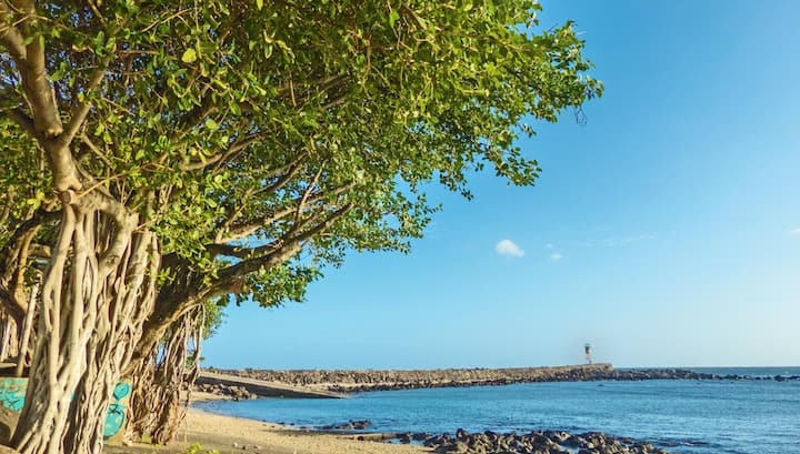 Villa Terre Sainte Bord De Mer - Réunion