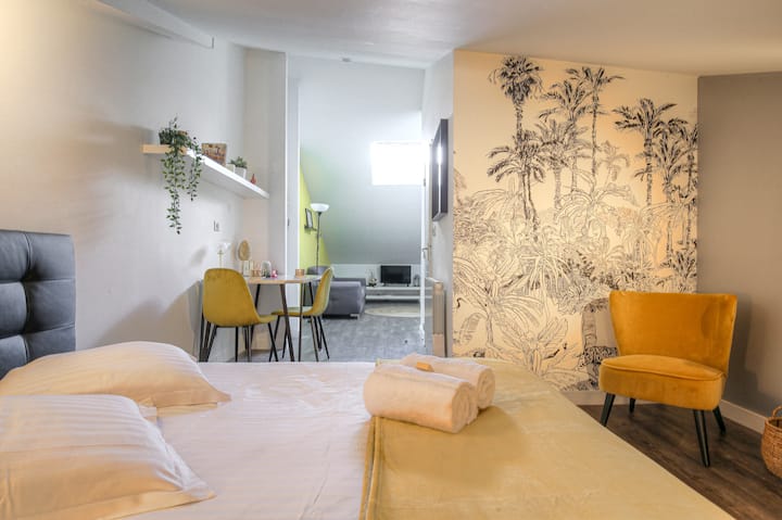 Beau Studio Rénové, Proche Lyon Part-dieu - Lyon