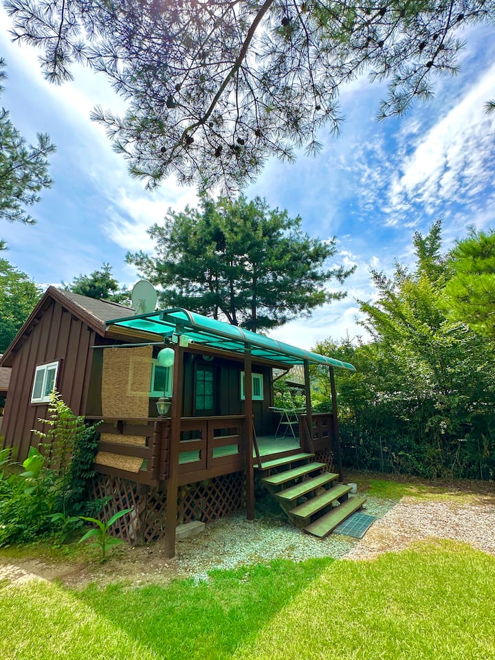 {2~4인 독채펜션}산과 계곡뷰/피톤치드 가득한 아날로그 감성 2층 다락방 통나무집 - 제천시