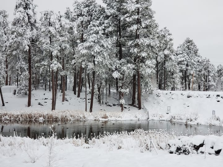 White Mtn Sanctuary; Gr8 Views; Kayaks & Massages - Pinetop-Lakeside, AZ