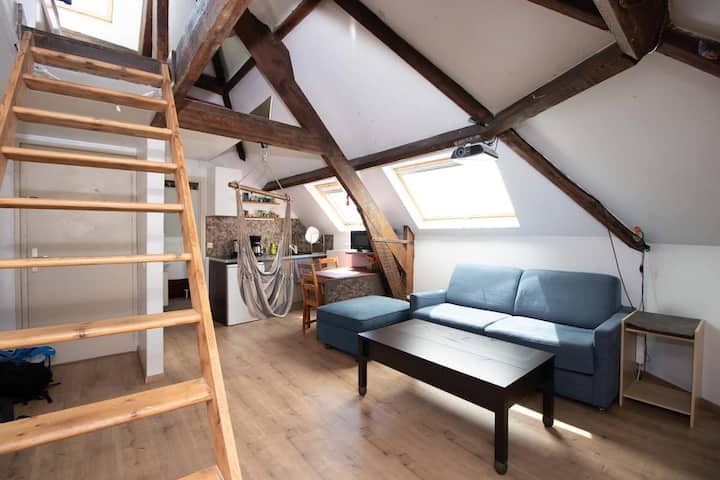 Charmant Sous-toit, Poutres Apparentes - Lille