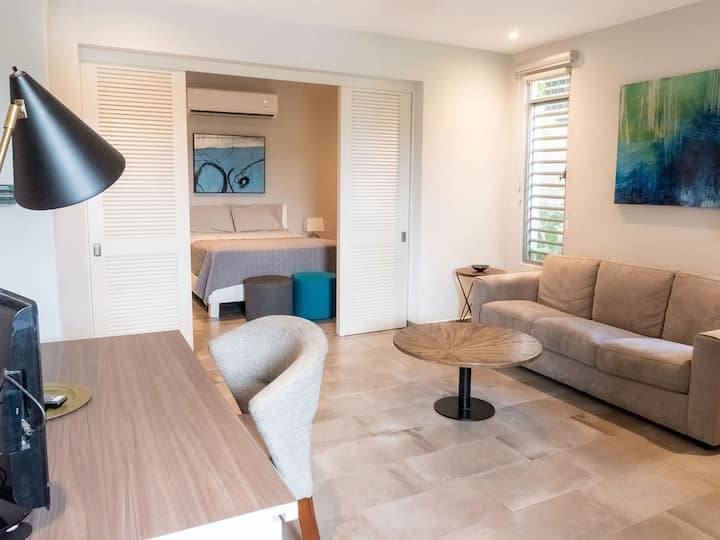 Casa Terra Porto #1• Bright Corner Unit W/ Rooftop - San Juan