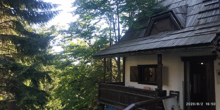 Mountain House Kovačević Kopaonik - Kopaonik