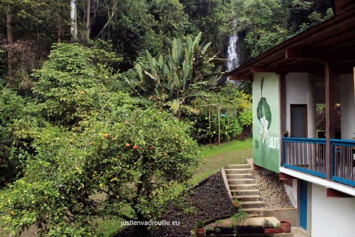 Habitacion Matrimonial Con Vista De La Cascada - Jardín