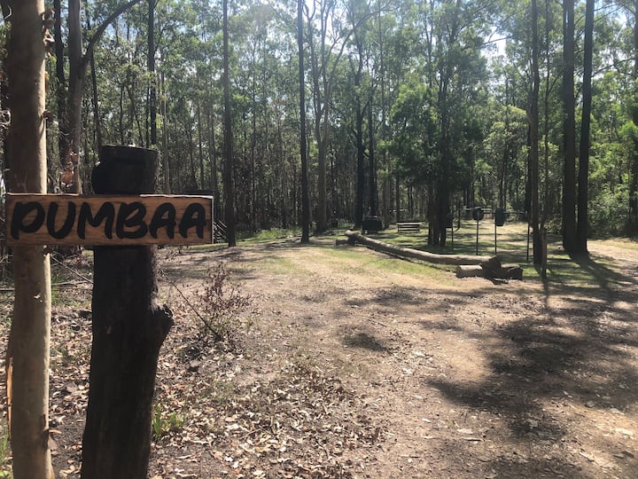 Pumbaa: Camping In Your Own Tents - Hunter Valley