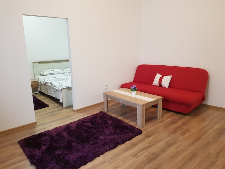 14 Apartament 14 Central - Târgu Mureș