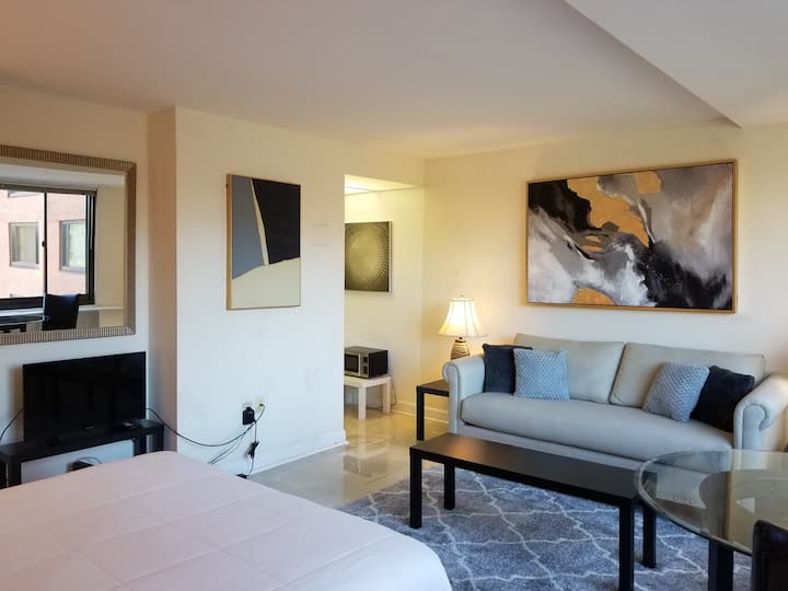 Stylish Studio Just Over The River From Dc - Arlington, VA