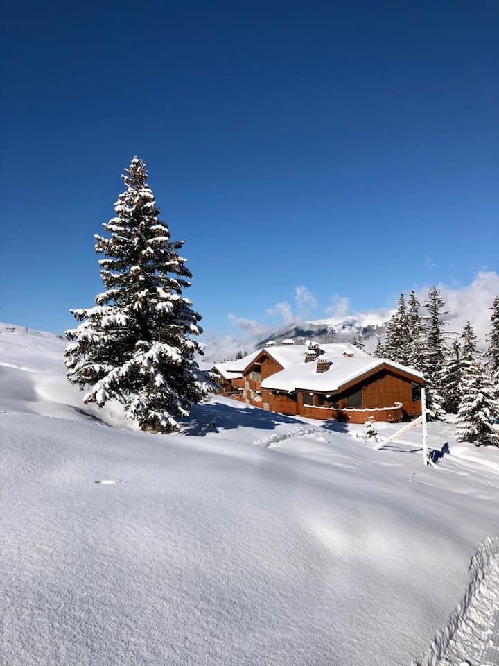 Appartement Ski In/ski Out / 3 Chambres 6 Pers - Pralognan-la-Vanoise