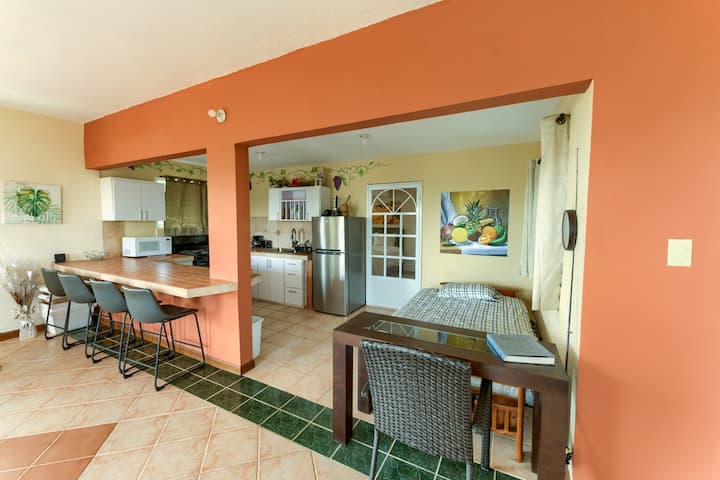 House In The Mountains, Views, Lake - Aguas Buenas