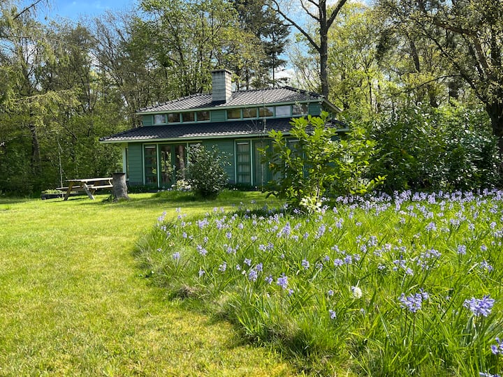 Groen Huis In Bos, Twente - Haaksbergen