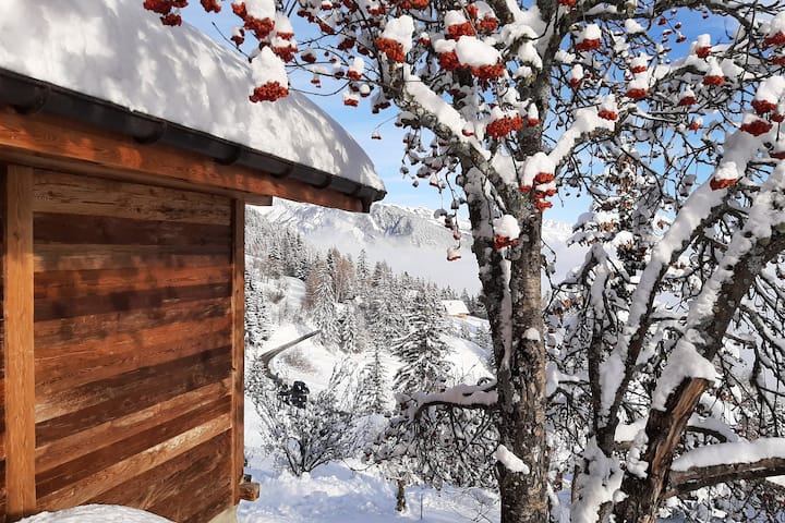 Chalet Traditionnel Valaisan - Anzère