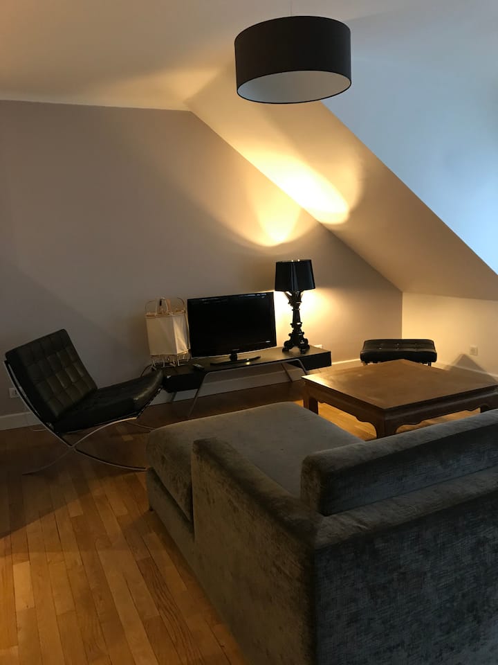 Magnifique T3 Lumineux Et Parfaitement Situé - Brive-la-Gaillarde