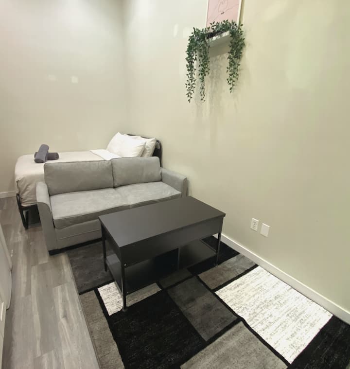 Tiny Apt In Heart Of Manhattan. - Foxhurst - Bronx NY