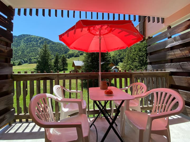 Studio Pieds Des Pistes Alpe Du Grand Serre - Station de l'Alpe du Grand Serre
