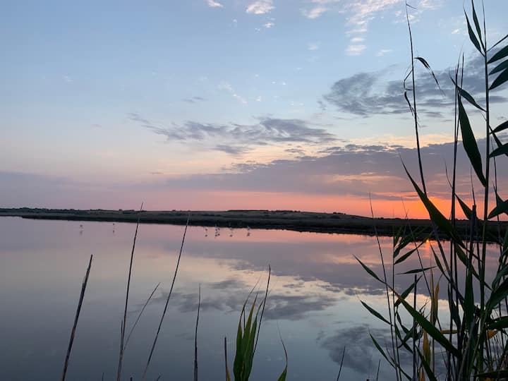 L'andalouse - Carnon