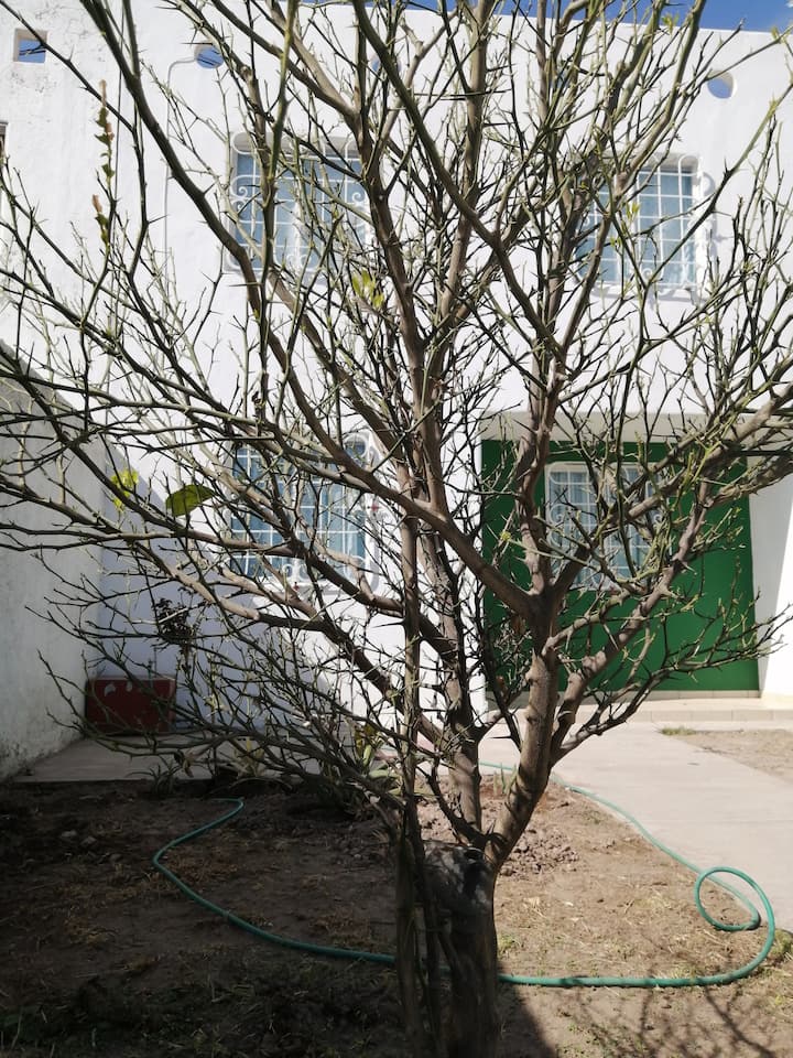 "Te Espero En Casa" 
Casa Habitación. - イラプアト