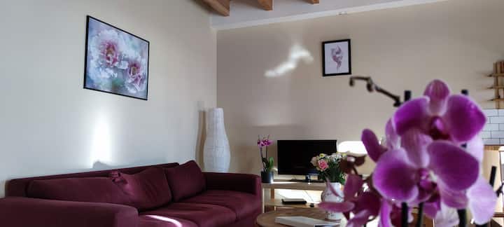 Gîte Pivoine 6 Pers. Piscine Chauffée Et Jacuzzi - Occitanie