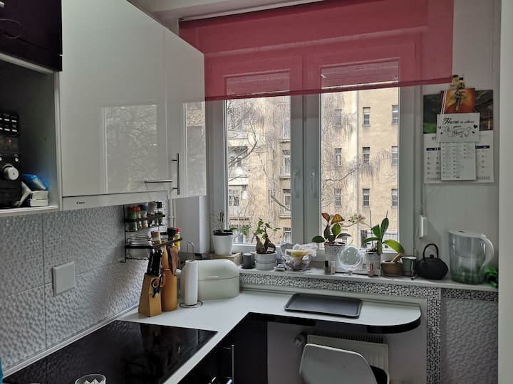 Great Oasis In The City Center! - Zagreb