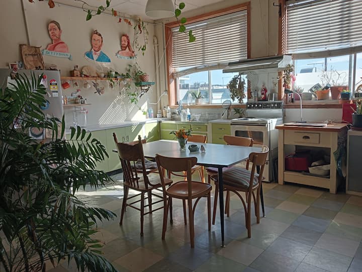 Unique Spacious Entire Artist Loft Fitzroy - Melbourne
