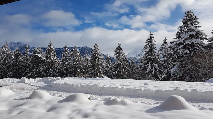 Superbe 35m2 5p. Rdc Plein Sud Vue Montagne Rénové - Chamrousse