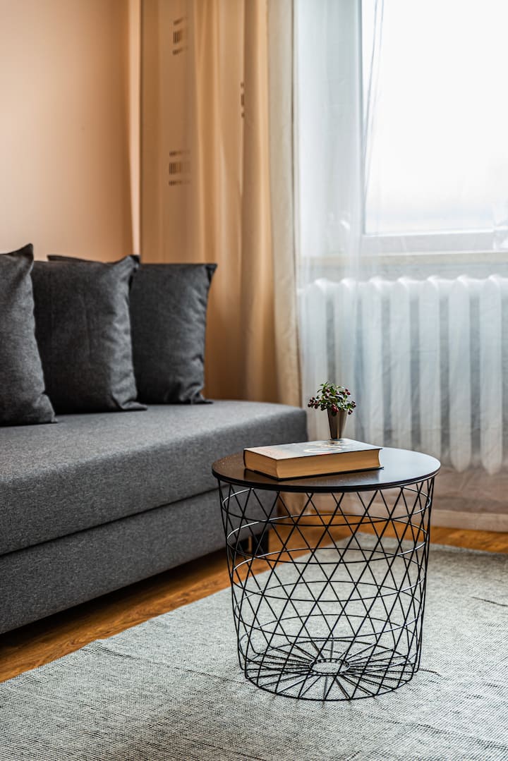Paukščio Takas Su Panorama į Miestą Iš Aukštai - Vilnius