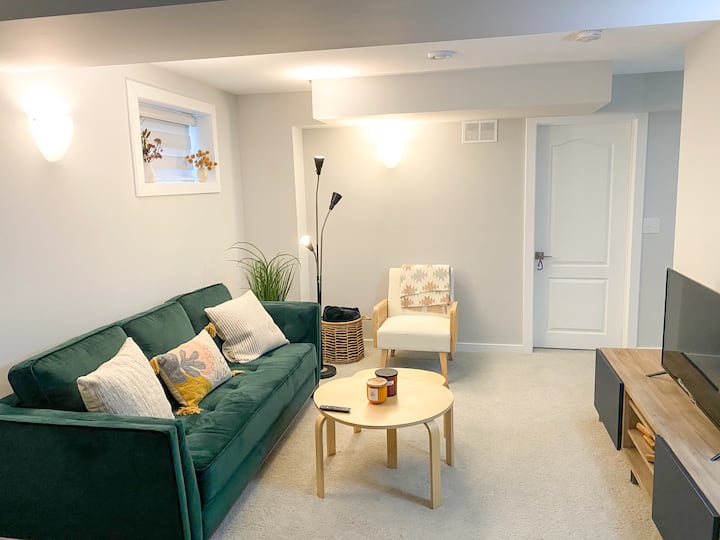 2-room Basement Oasis - Winnipeg