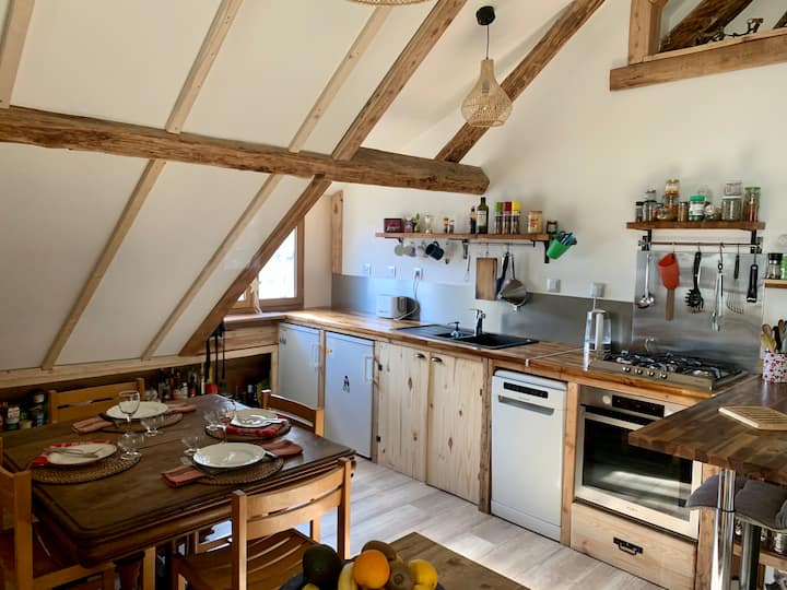 Appartement Type Chalet - Ailefroide