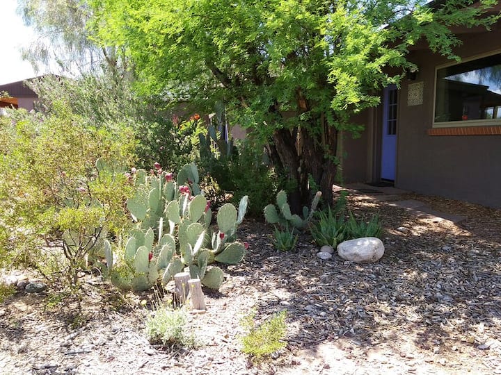 Acacia Casita - Pool, Serene, Private Back Yard - Tucson, AZ