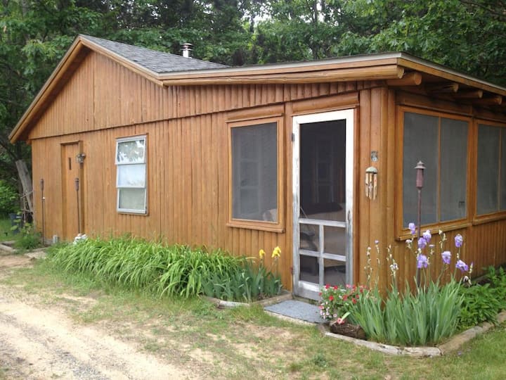 Traverse City Cozy Cottage On Silver Lake - Interlochen, MI