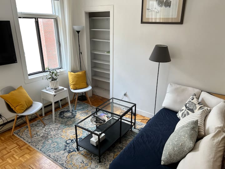 Cozy 1-bedroom W/terrace In The Heart Of Plateau - Montreal
