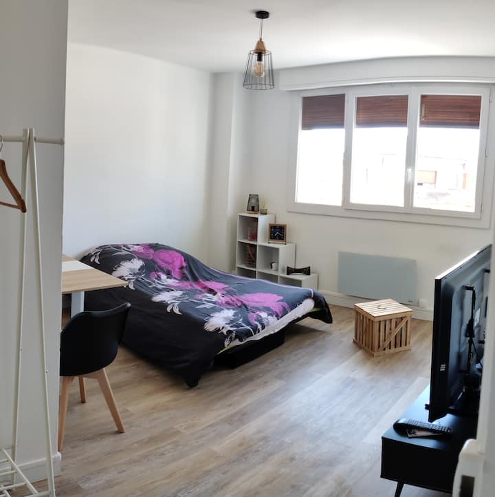 Studio De Charme Quartier Matabiau Proche Centre - Toulouse