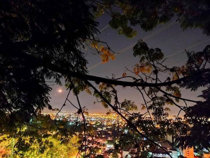 Treehouse In Cali, Experience Nature In The City - Cali
