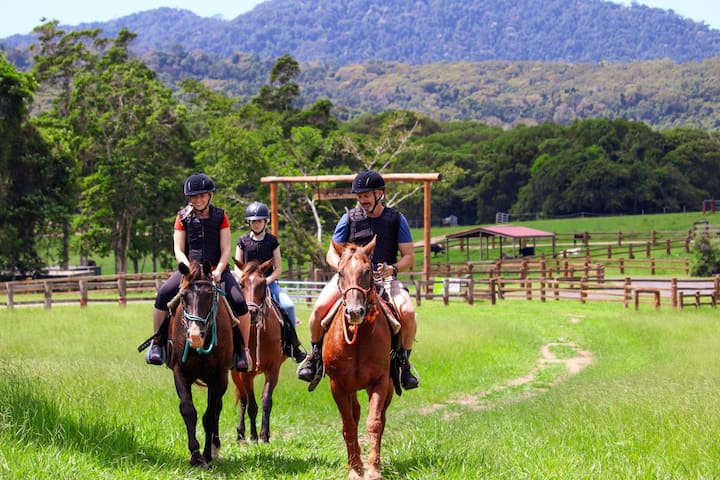 Kur-cow Farm Escape 35 Minutes From Cairns - Kuranda