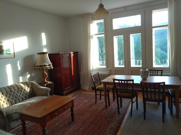 Haus Susemihl - Harz
