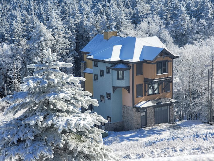 Country Home Of The Year,sleeps 16,hot Tub/sauna - Snowshoe, WV