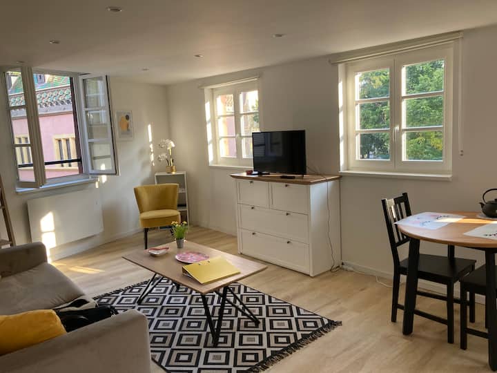 Cocoon - Centre Historique - Colmar