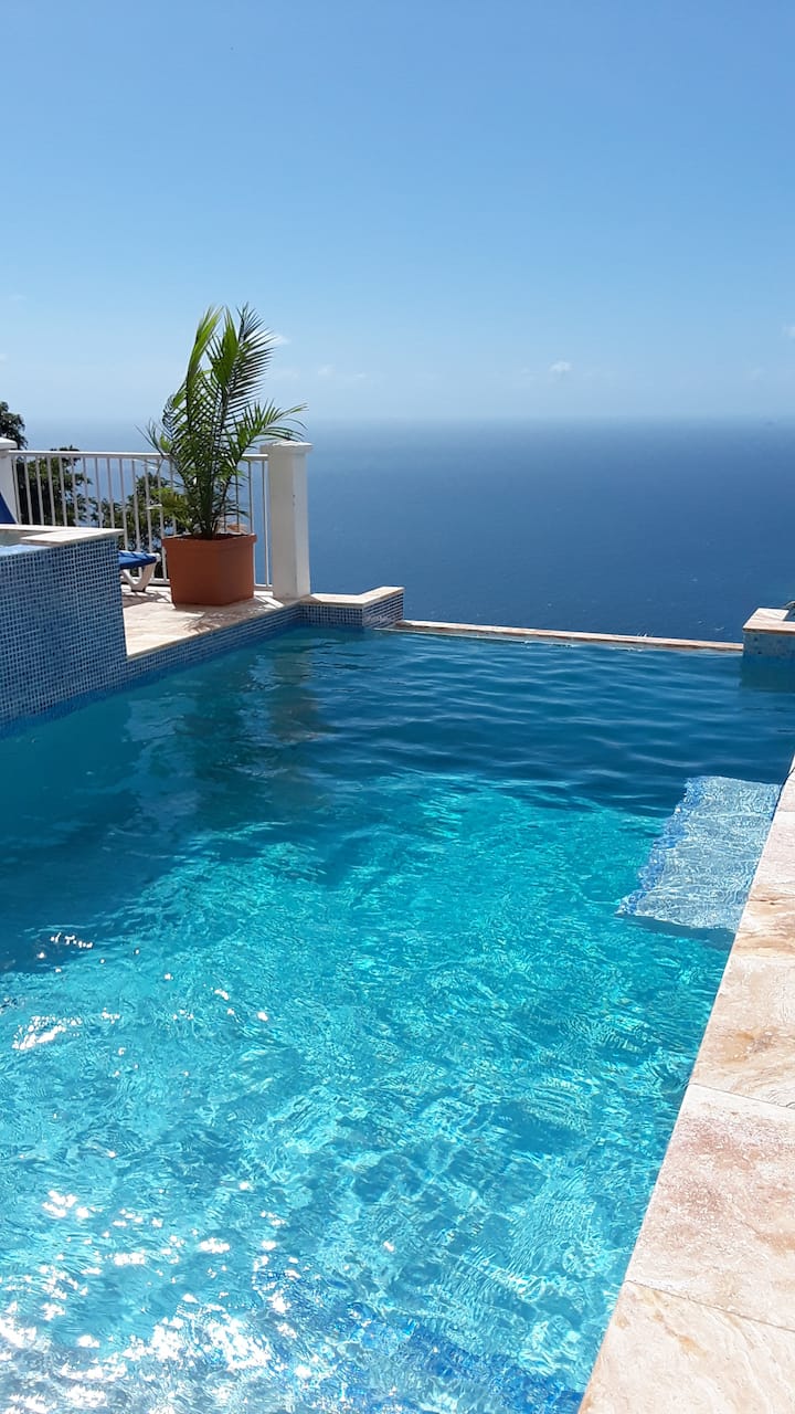 Tropical Tranquility At Its Finest! •Infinity Pool - Saint Thomas
