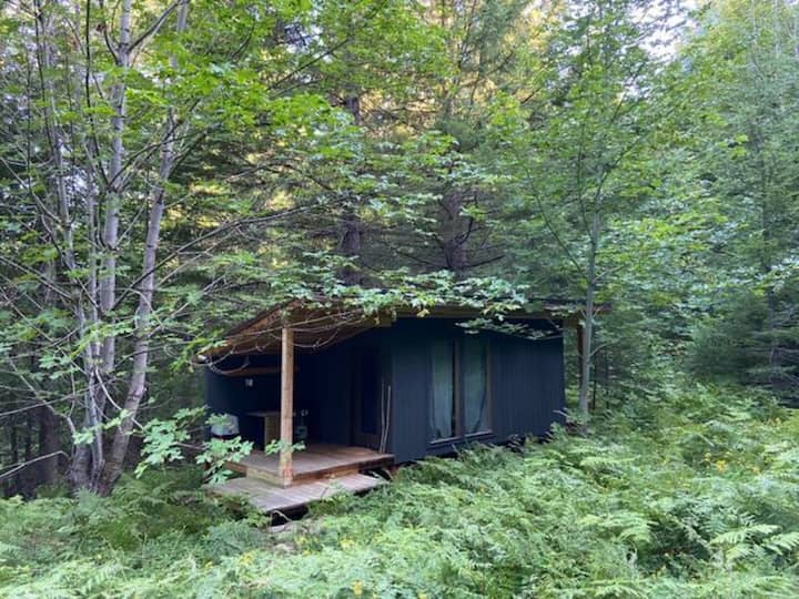 Cozy Off-grid Cabin In The Trout Lake Valley - Trout Lake, WA