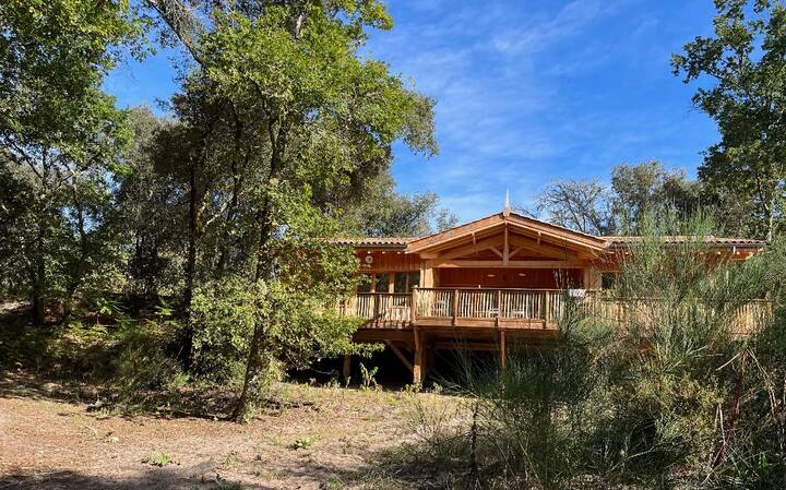 Magnifique Villa Sur Pilotis Entre Lac Et Océan - Hourtin Plage