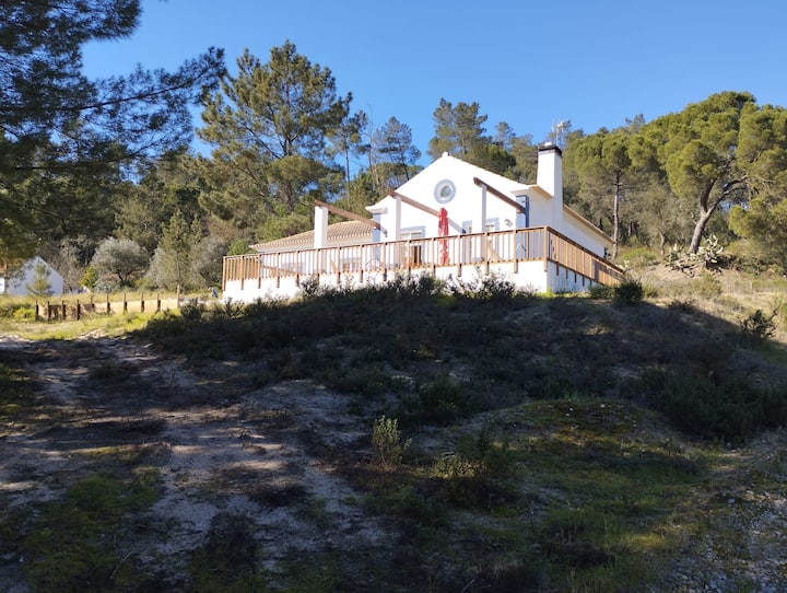 Moon's House - Coruche