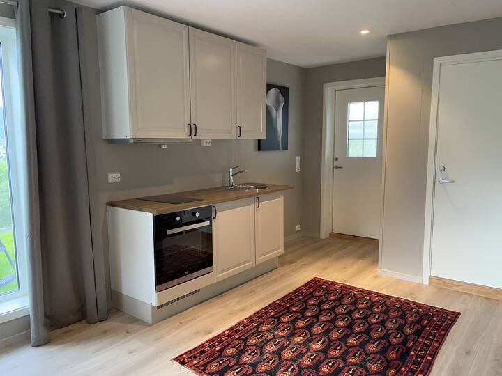 Hybelleilighet - Alesund