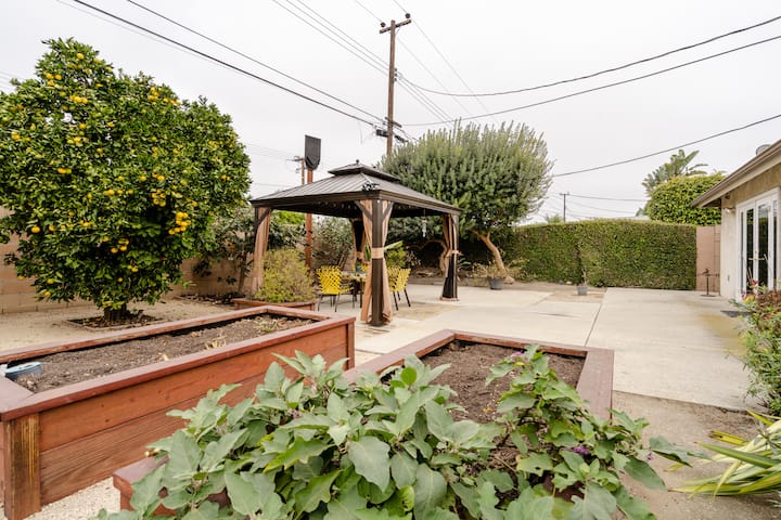 Orange Tree Abode-a Quiet Oasis - Seal Beach, CA